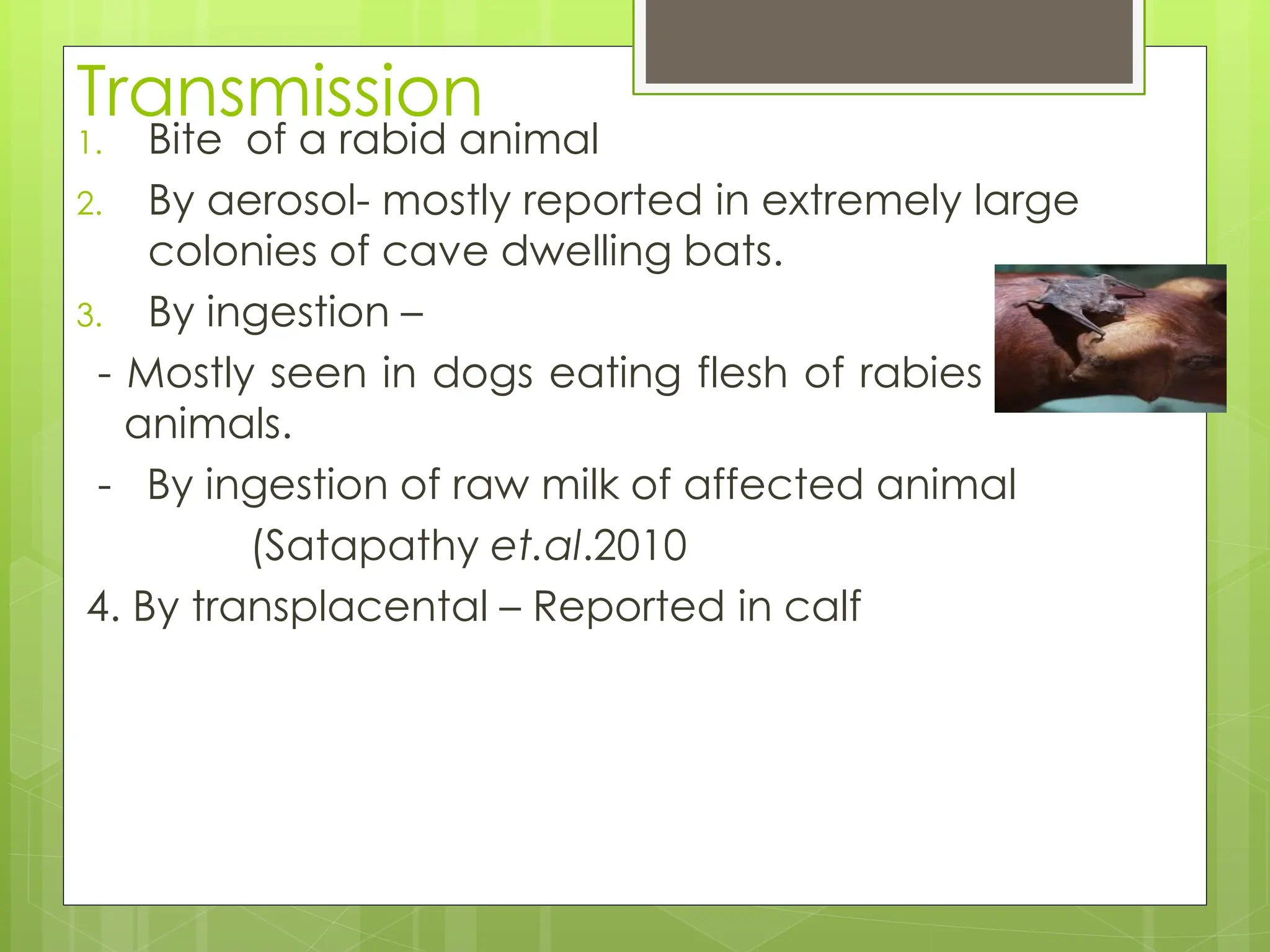 Rabies Pathology . Rabies causes treatment | PDF