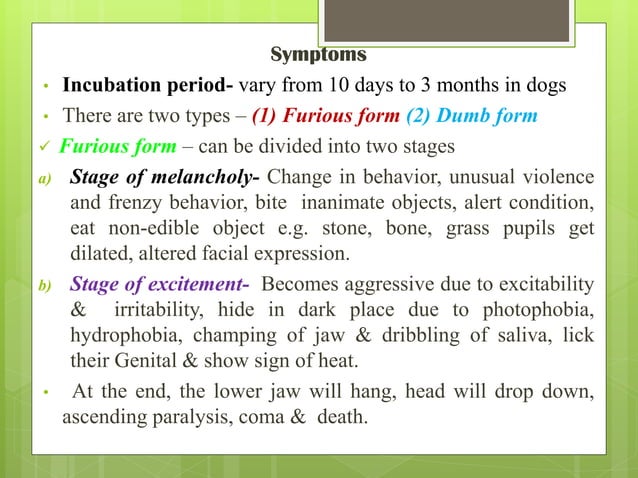 Rabies Pathology . Rabies causes treatment | PDF | Brain and Nervous ...