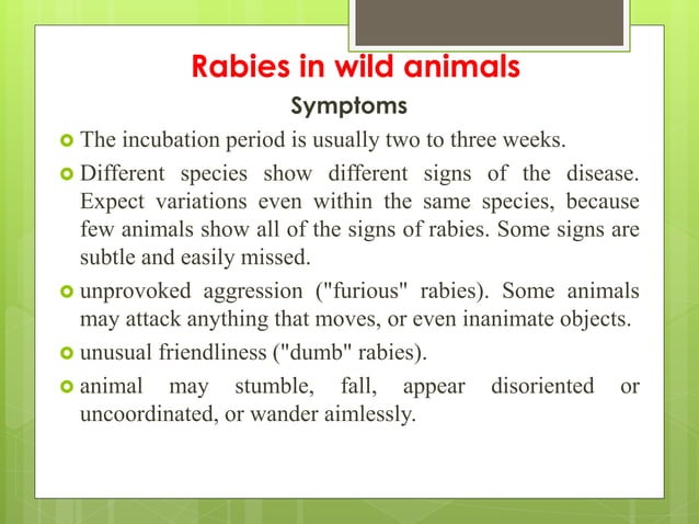 Rabies Pathology . Rabies causes treatment | PDF | Brain and Nervous ...