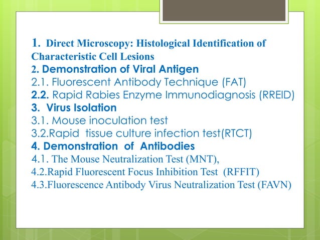 Rabies Pathology . Rabies causes treatment | PDF | Brain and Nervous ...