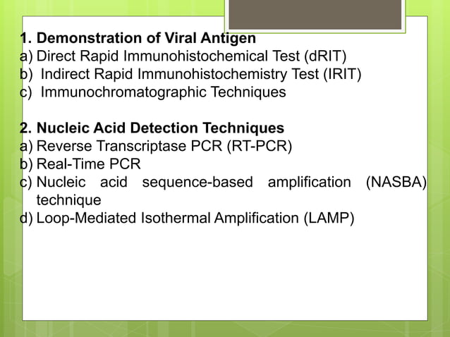 Rabies Pathology . Rabies causes treatment | PDF | Brain and Nervous ...