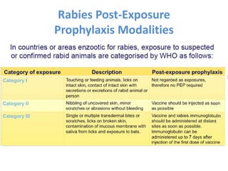 Rabies-P&C | PPTX | Infectious Diseases | Diseases and Conditions