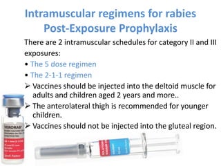 Rabies-P&C | PPTX | Infectious Diseases | Diseases and Conditions