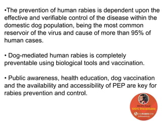 Rabies-P&C | PPTX | Infectious Diseases | Diseases and Conditions
