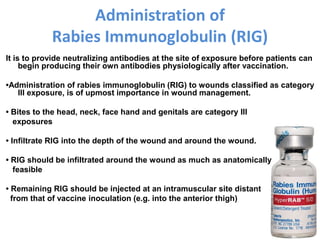 Rabies-P&C | PPTX | Infectious Diseases | Diseases and Conditions