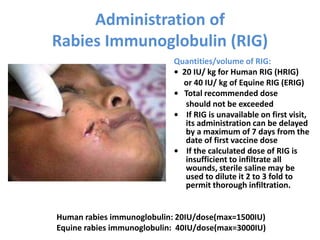 Rabies-P&C | PPTX | Infectious Diseases | Diseases and Conditions