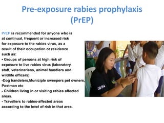 Rabies-P&C | PPTX | Infectious Diseases | Diseases and Conditions