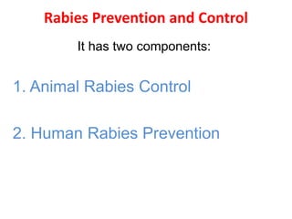 Rabies-P&C | PPTX | Infectious Diseases | Diseases and Conditions