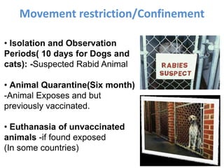 Rabies-P&C | PPTX | Infectious Diseases | Diseases and Conditions