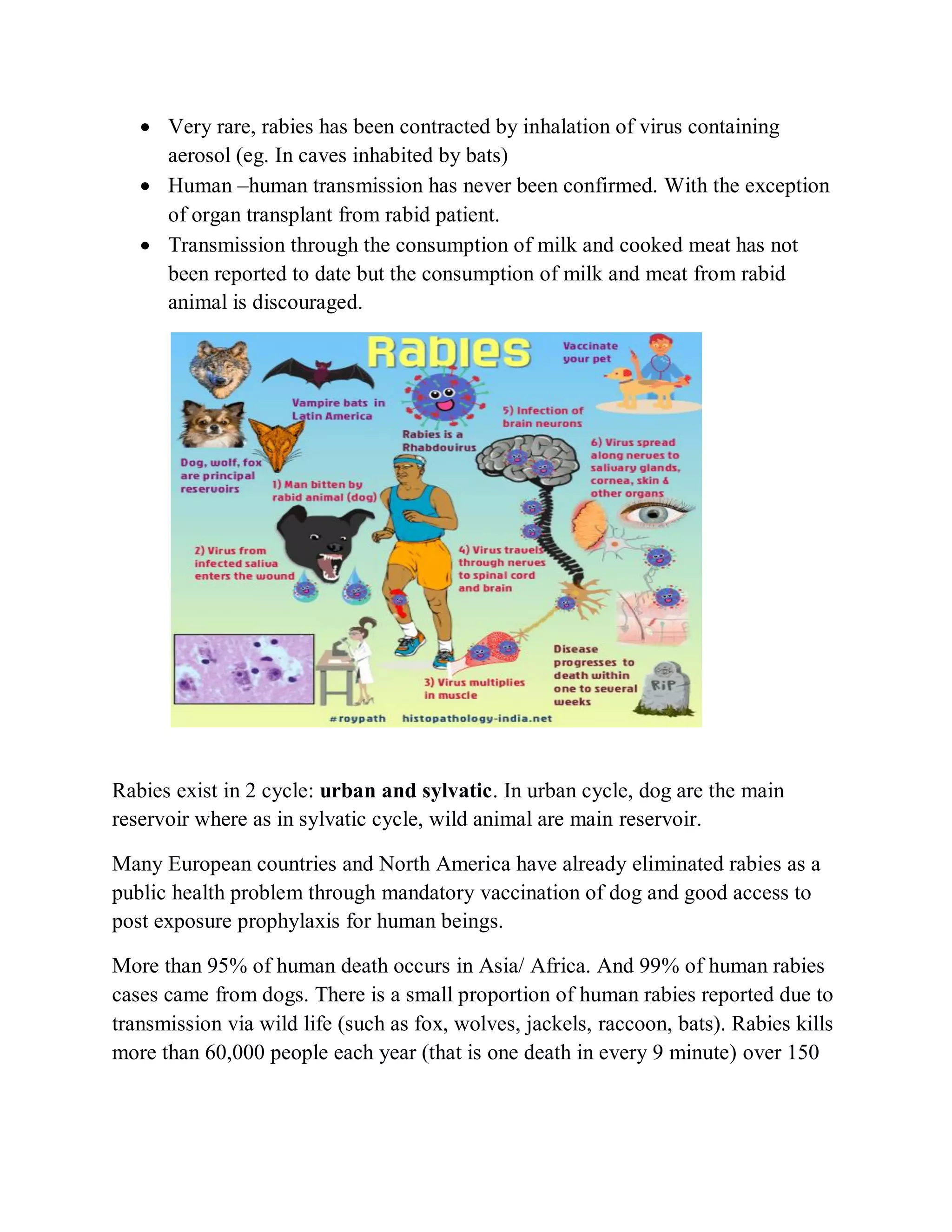 Rabies its transmission, clinical features and prevention | PDF