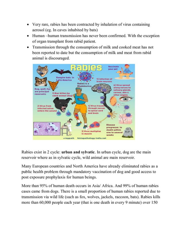 Rabies its transmission, clinical features and prevention | PDF