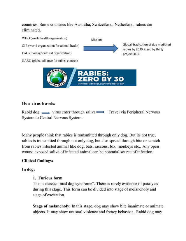 Rabies its transmission, clinical features and prevention | PDF