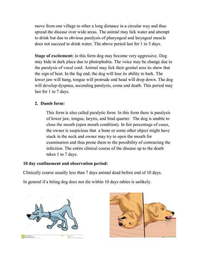Rabies its transmission, clinical features and prevention | PDF