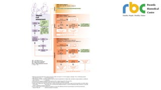 Rabies Post-Exposure Prophylaxis (1) prefinal (1).pptx