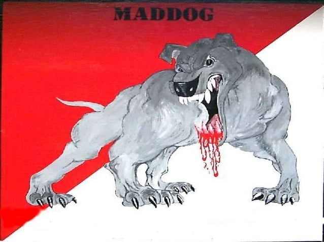 Rabies ppt | PPT | Infectious Diseases | Diseases and Conditions