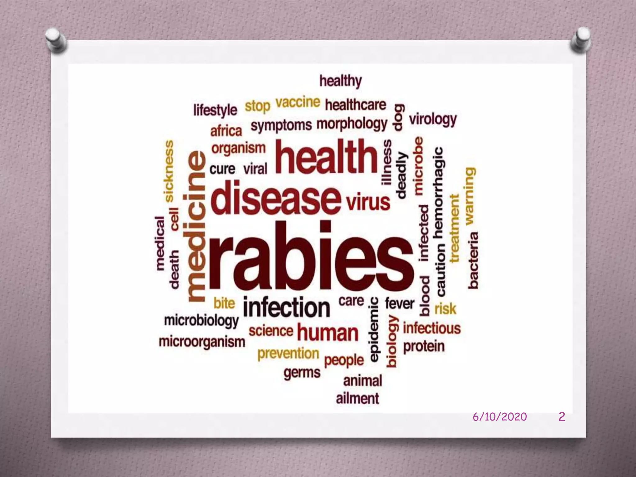 RABIES MANAGEMENT | PPTX