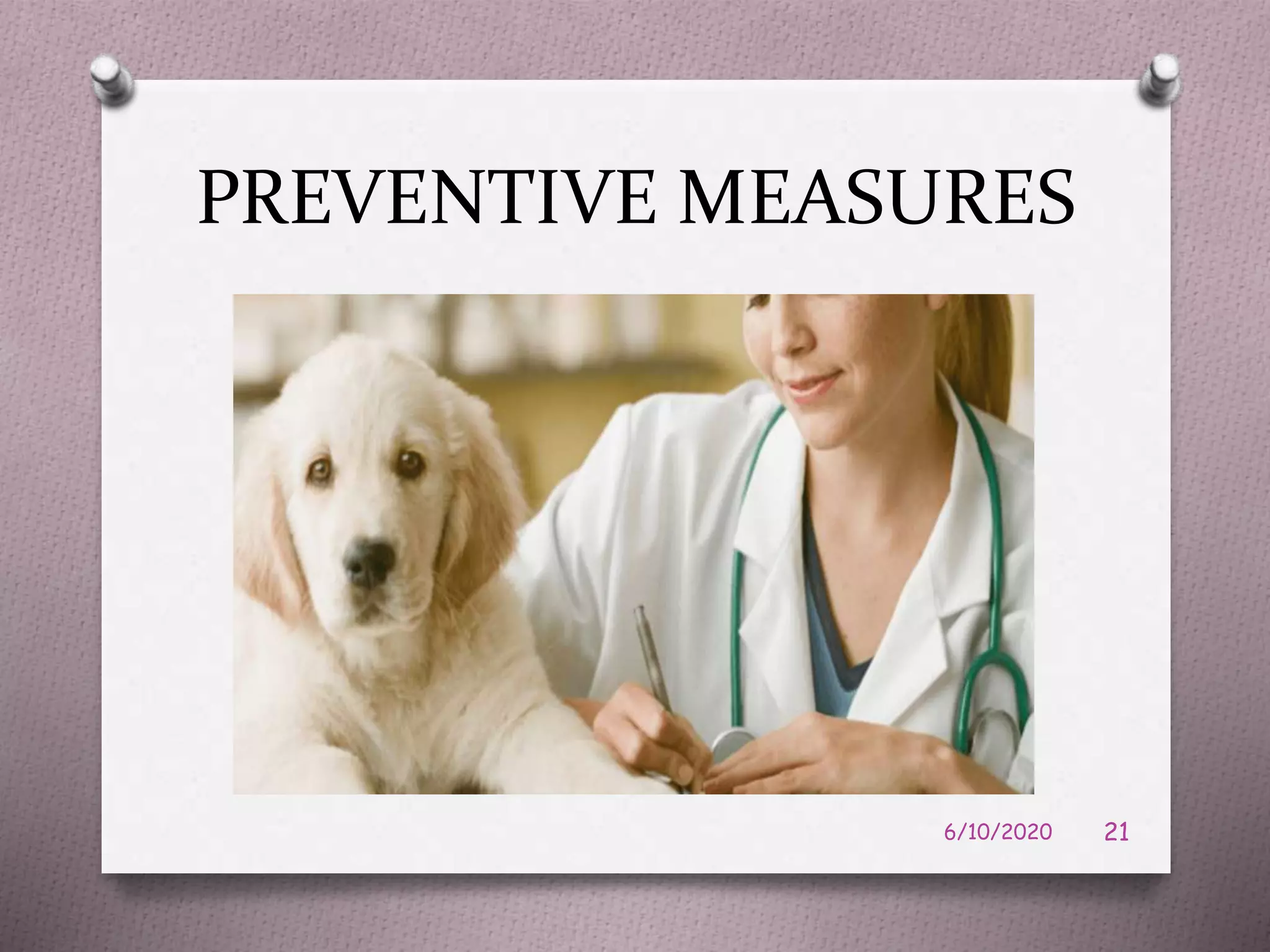 RABIES MANAGEMENT | PPTX