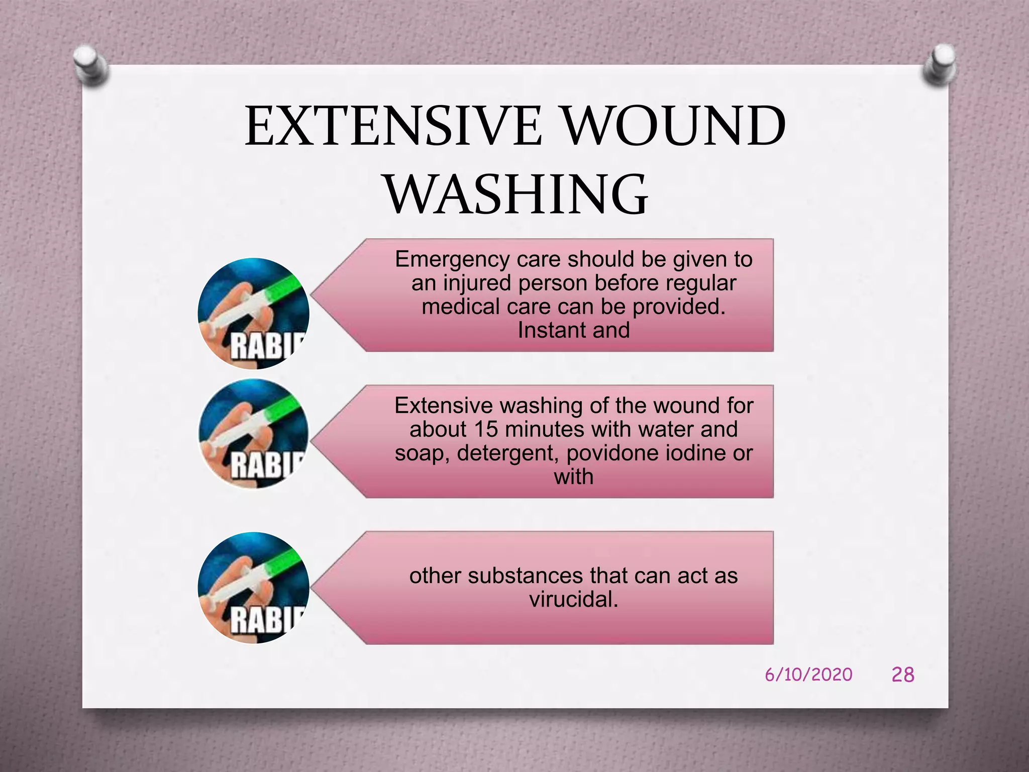 RABIES MANAGEMENT | PPTX