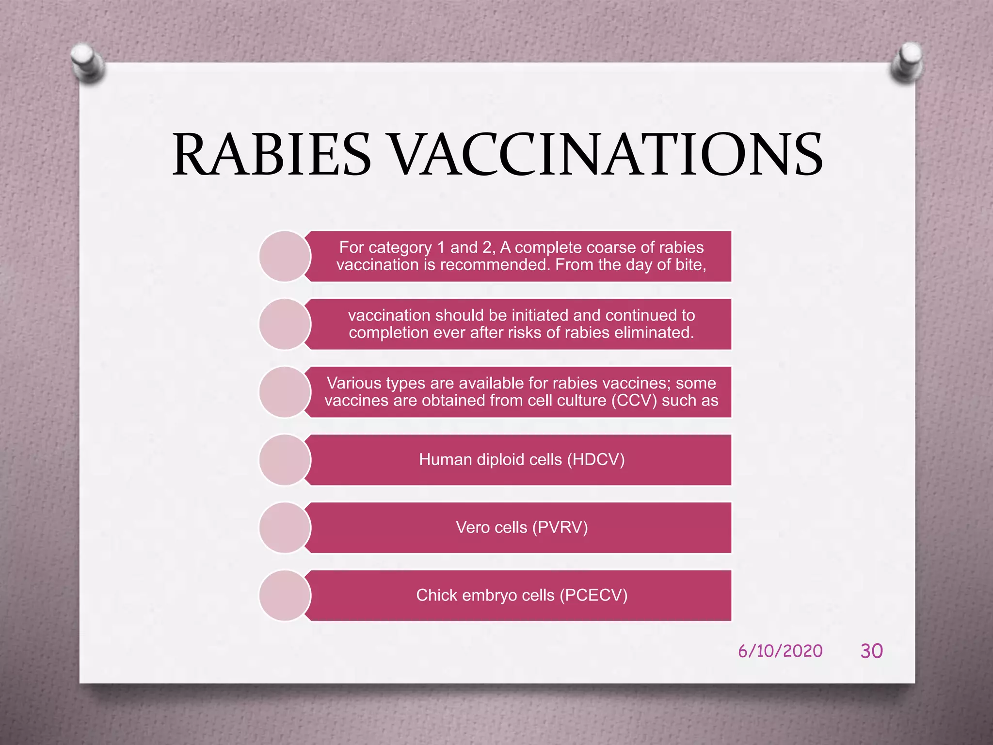 RABIES MANAGEMENT | PPTX