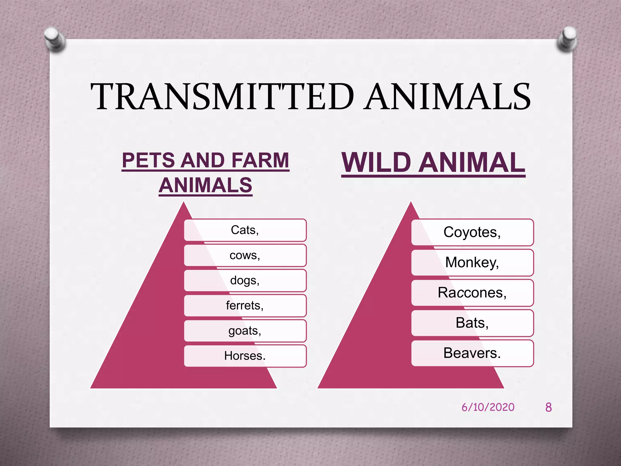 RABIES MANAGEMENT | PPTX