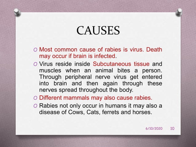 RABIES MANAGEMENT | PPTX