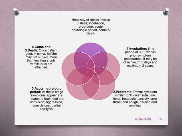 RABIES MANAGEMENT | PPTX