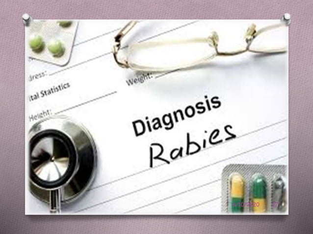 RABIES MANAGEMENT | PPTX