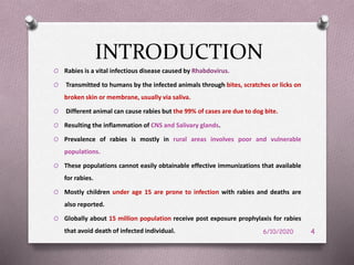 RABIES MANAGEMENT | PPTX