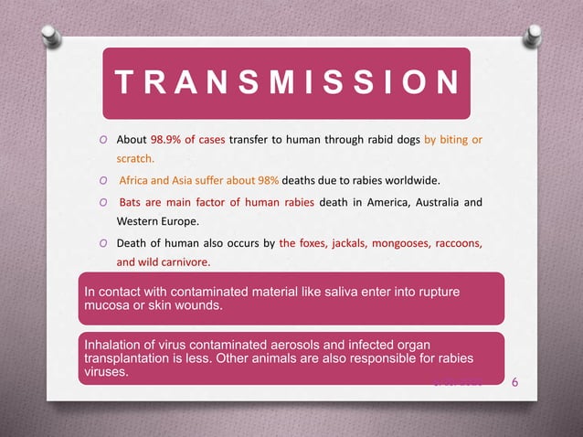 RABIES MANAGEMENT | PPTX