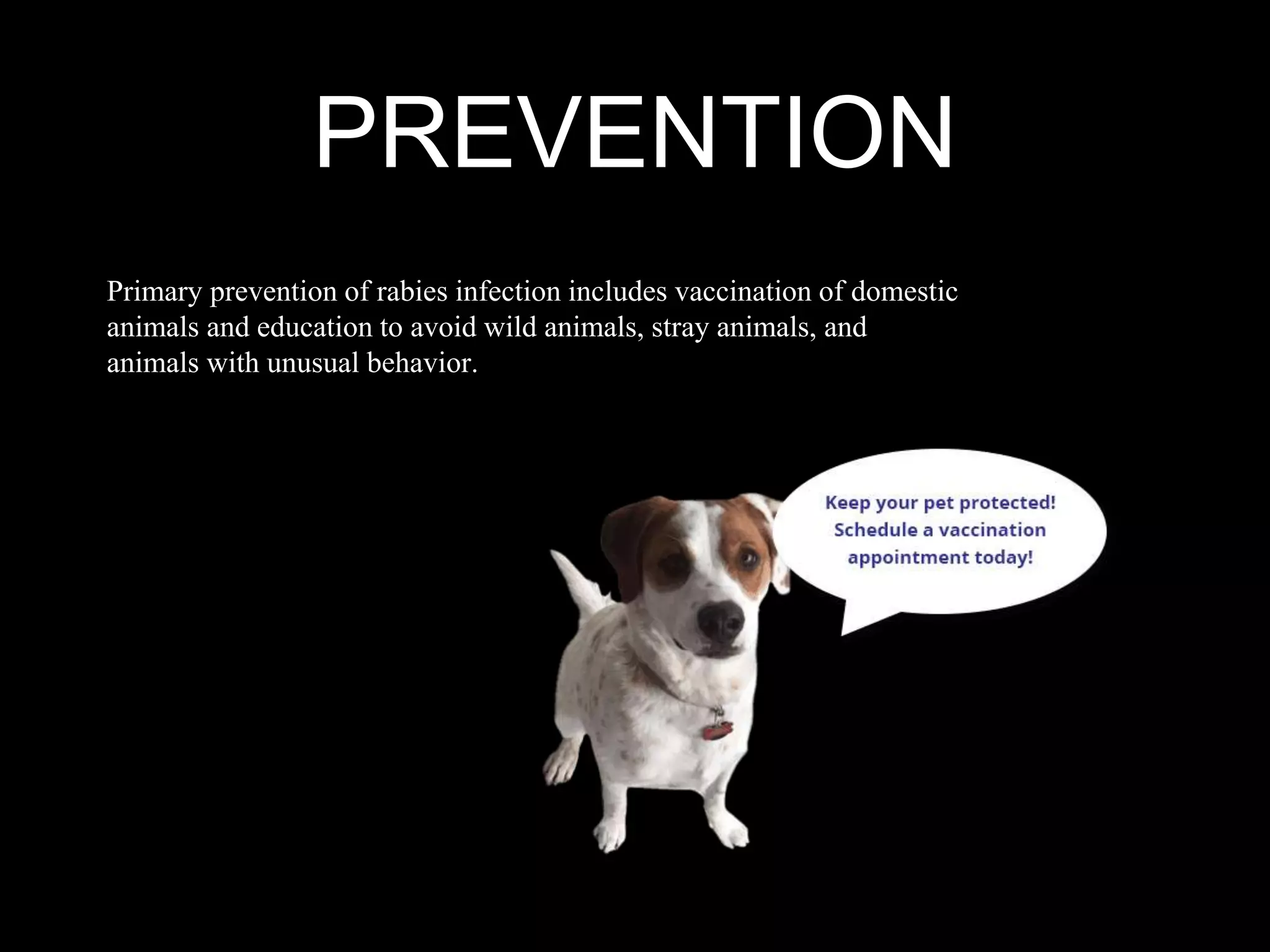 Rabies ppt | PPT