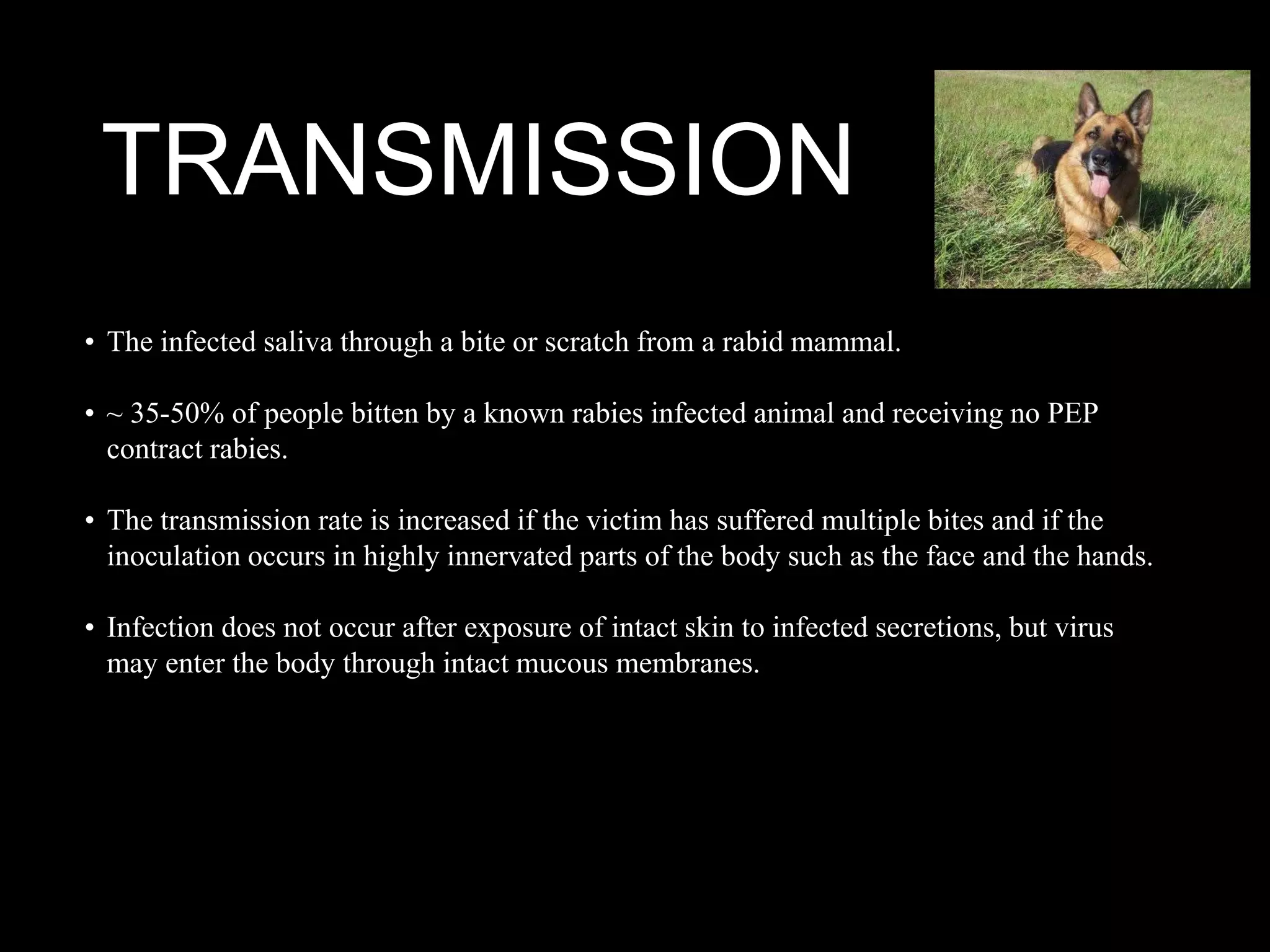 Rabies ppt | PPT