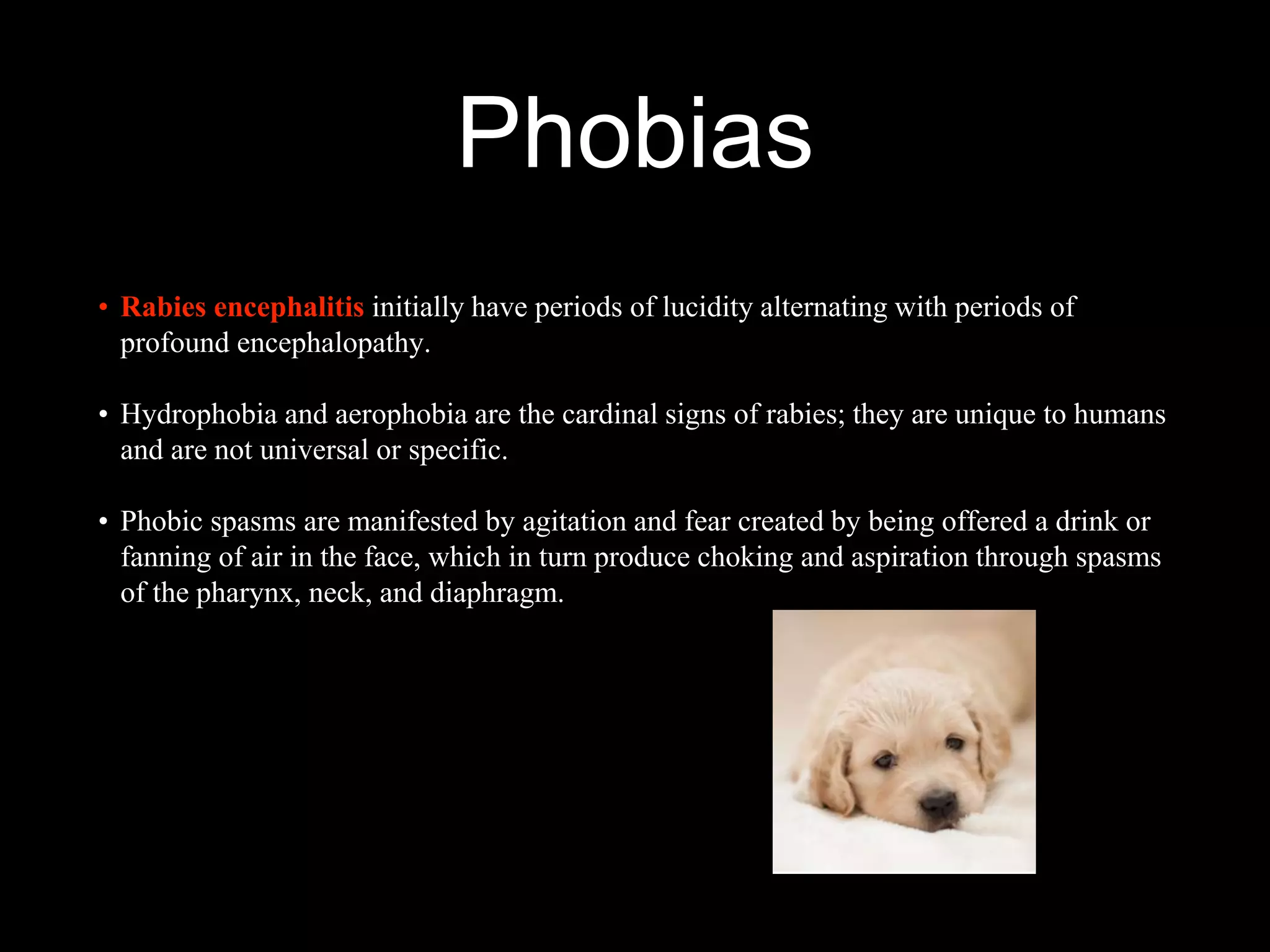 Rabies ppt | PPT