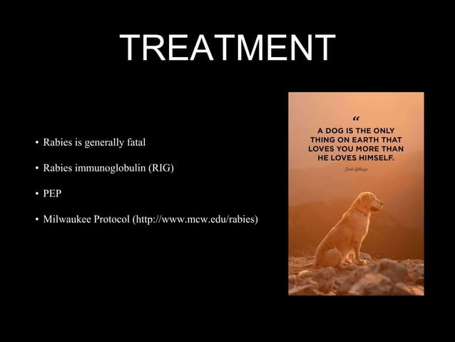 Rabies ppt | PPT