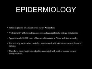 Rabies ppt | PPTX