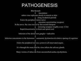 Rabies ppt | PPT