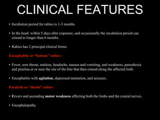 Rabies ppt | PPT