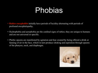 Rabies ppt | PPT
