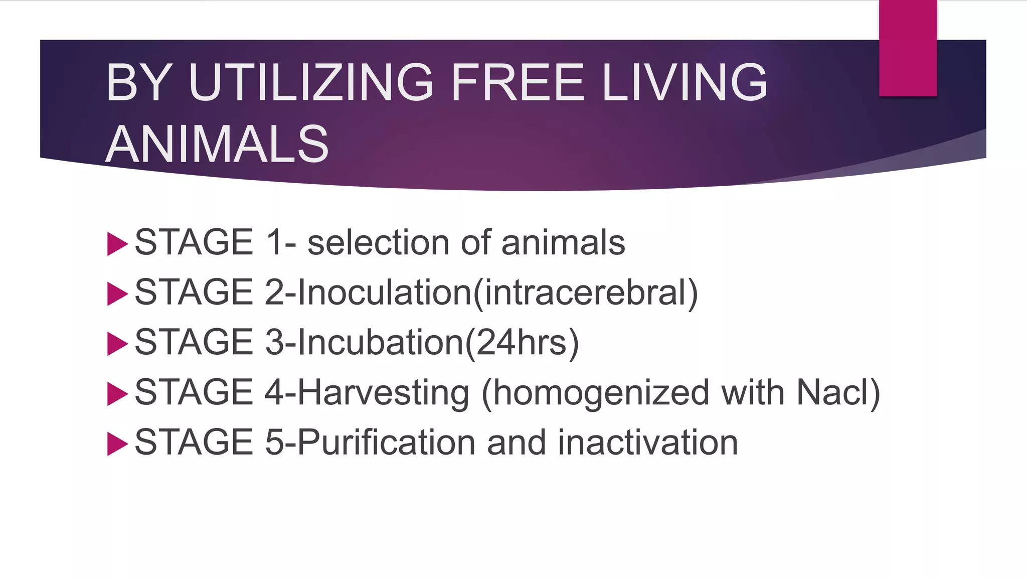 Rabies vaccine ppt | PPTX