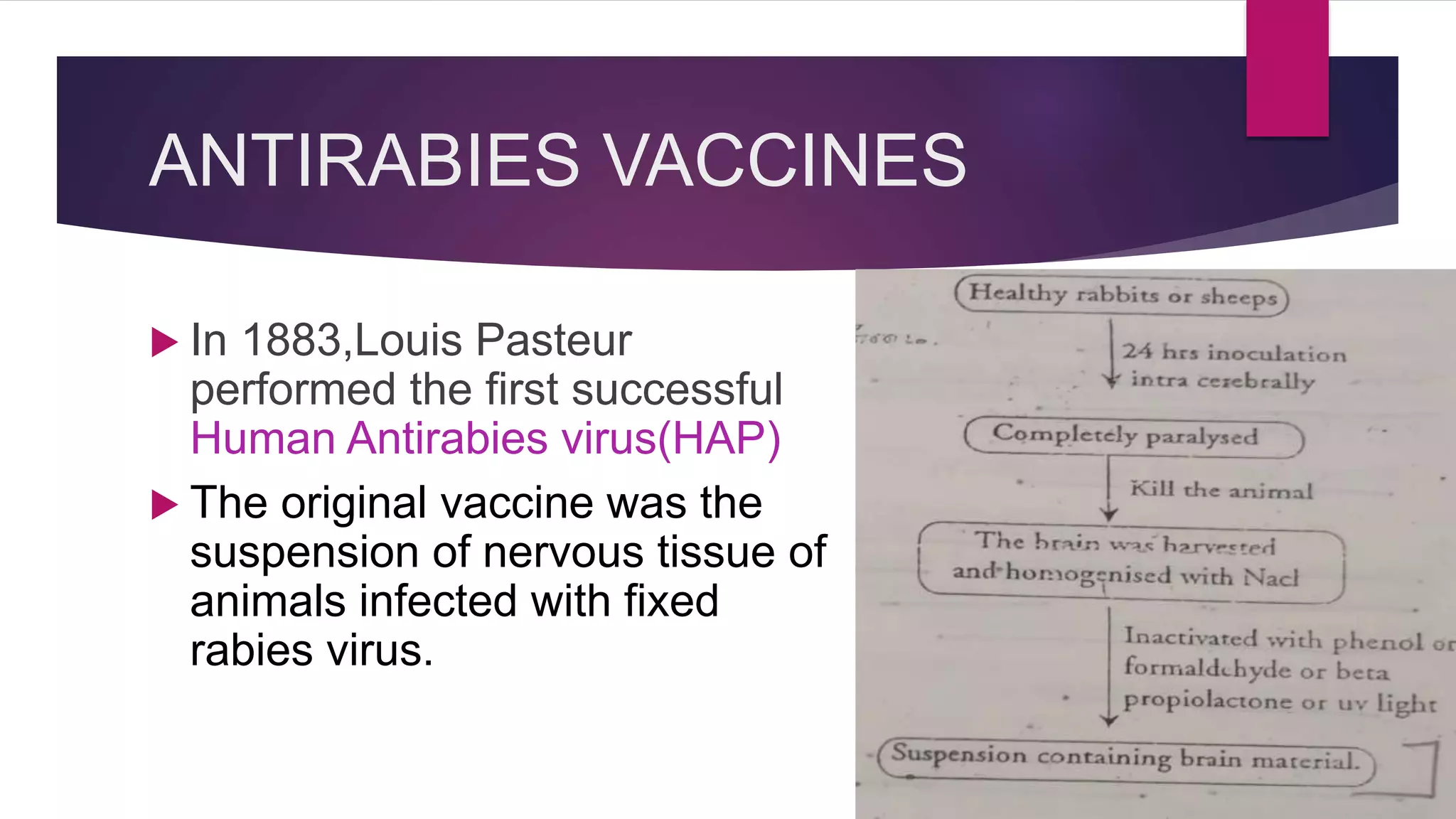 Rabies vaccine ppt | PPTX