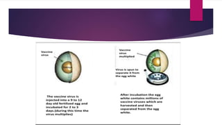 Rabies vaccine ppt | PPTX