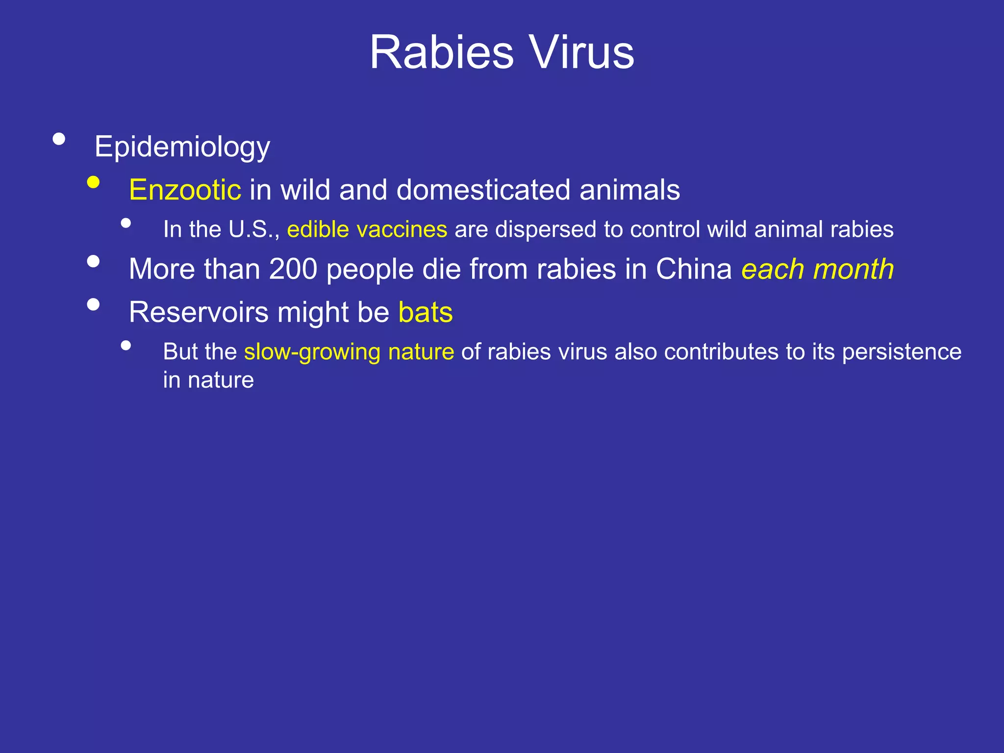 Rabies ppt.ppt