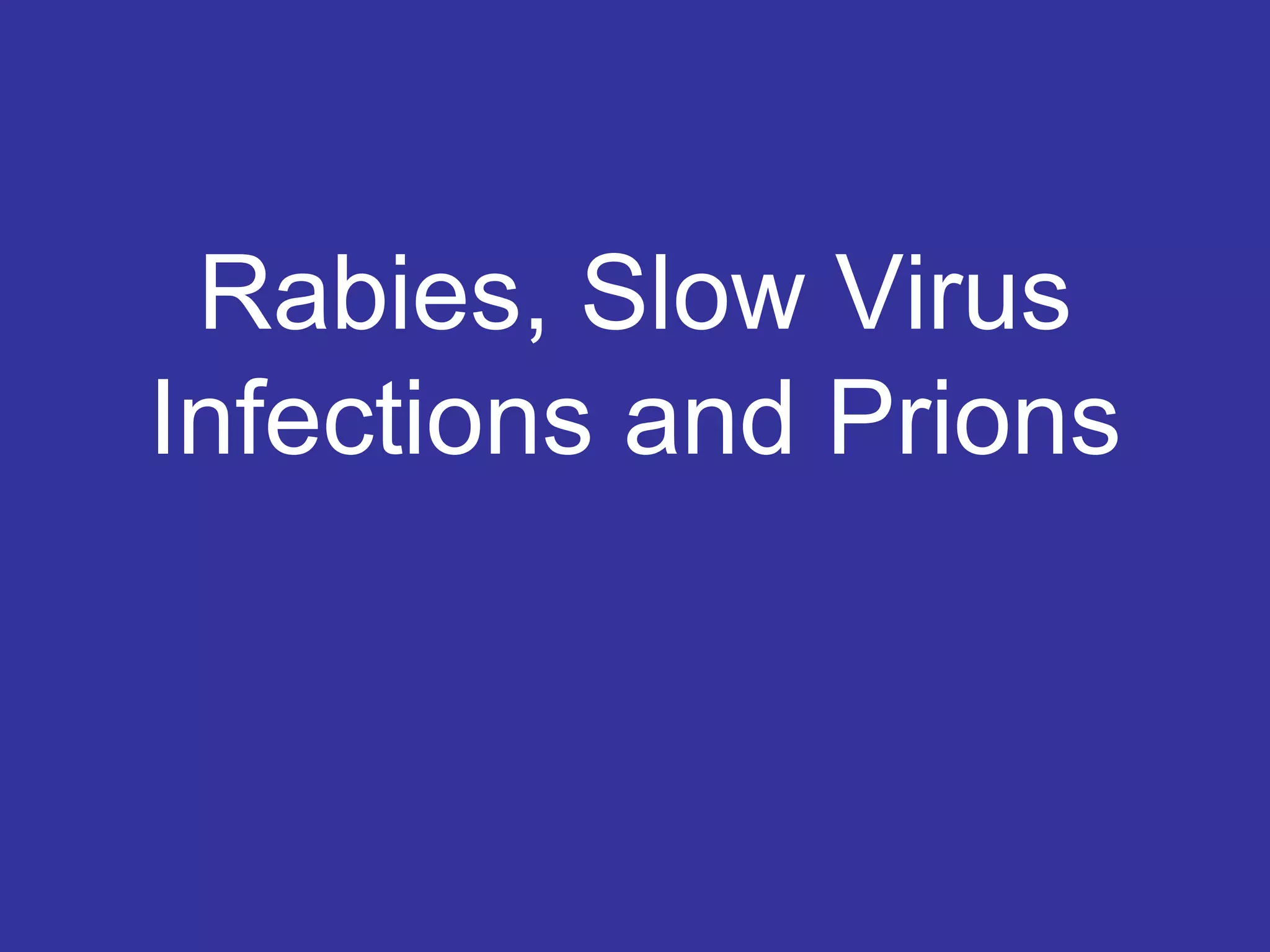 Rabies ppt.ppt
