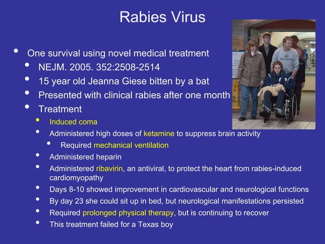 Rabies ppt.ppt | Infectious Diseases | Diseases and Conditions