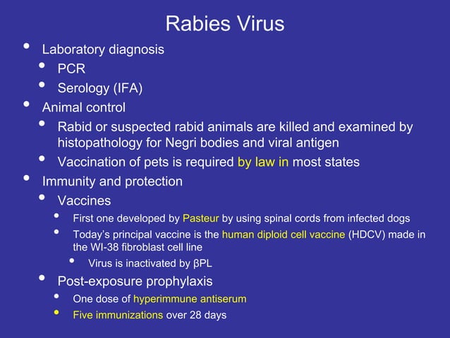 Rabies ppt.ppt