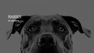 Rabies ppt. Definition, clinical features, epidemiology, treatment | PPTX