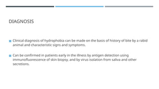 Rabies ppt. Definition, clinical features, epidemiology, treatment | PPTX