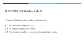 Rabies ppt. Definition, clinical features, epidemiology, treatment | PPTX