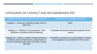 Rabies ppt. Definition, clinical features, epidemiology, treatment | PPTX
