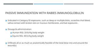 Rabies ppt. Definition, clinical features, epidemiology, treatment | PPTX
