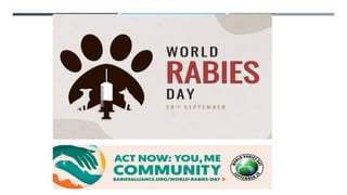 Rabies ppt. Definition, clinical features, epidemiology, treatment | PPTX